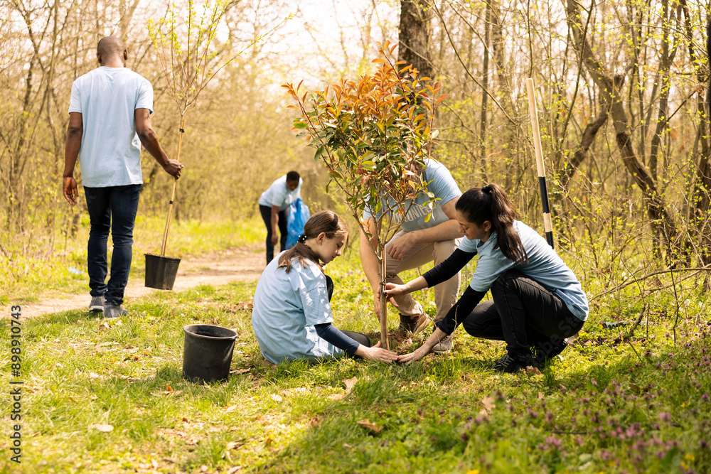 Team of volunteers digging holes and installing new trees, planting ...