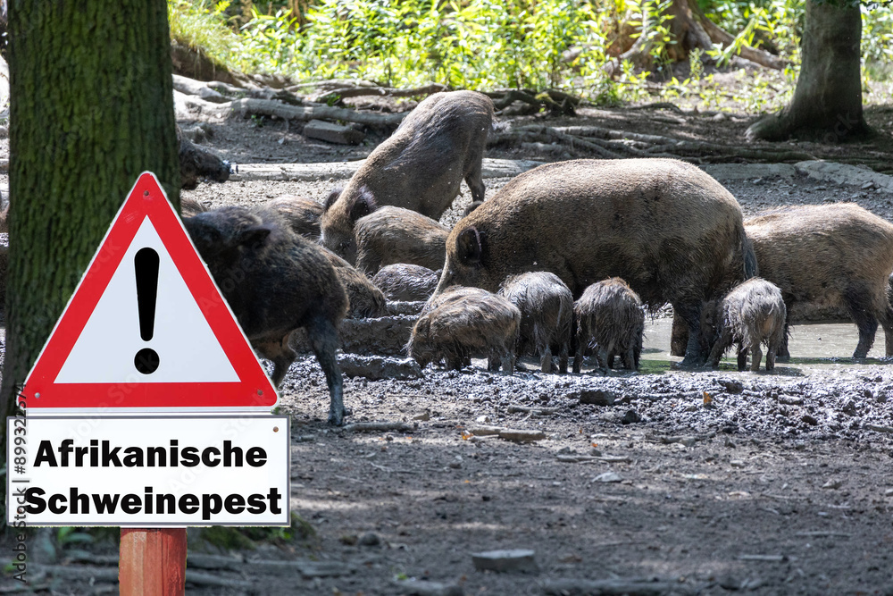 Sign with the inscription "Achtung Afrikanische Schweinepest ...