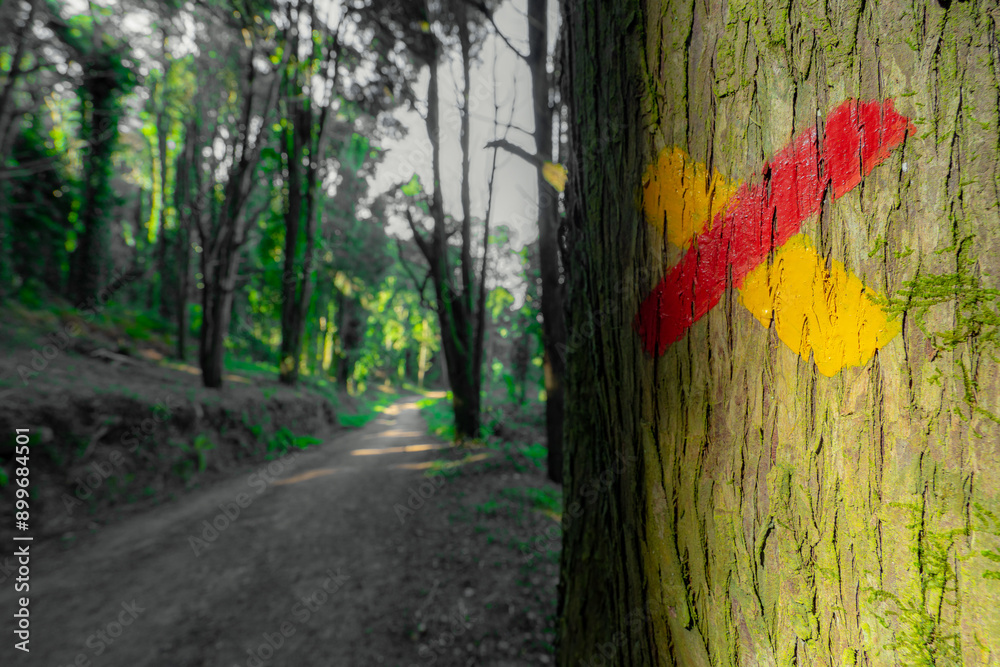 Pedestrian wrong way signage with two crossed red and yellow lines ...