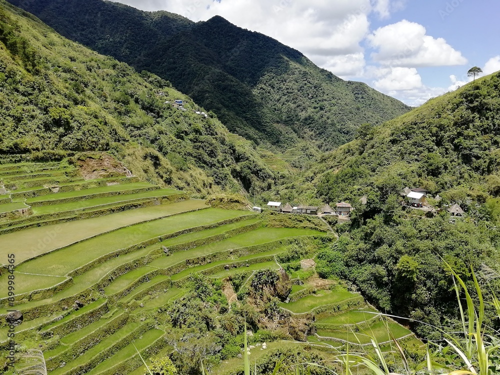 Rice Terraces of the Philippine Cordilleras, rice fields in Banaue ...