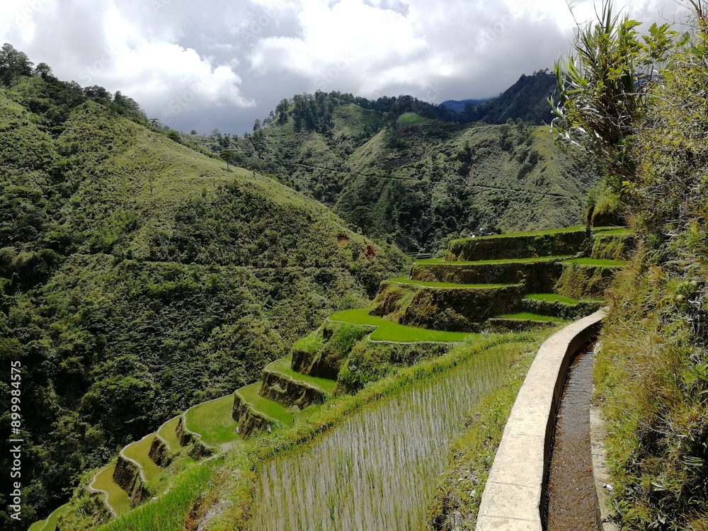 Rice Terraces of the Philippine Cordilleras, rice fields in Banaue ...