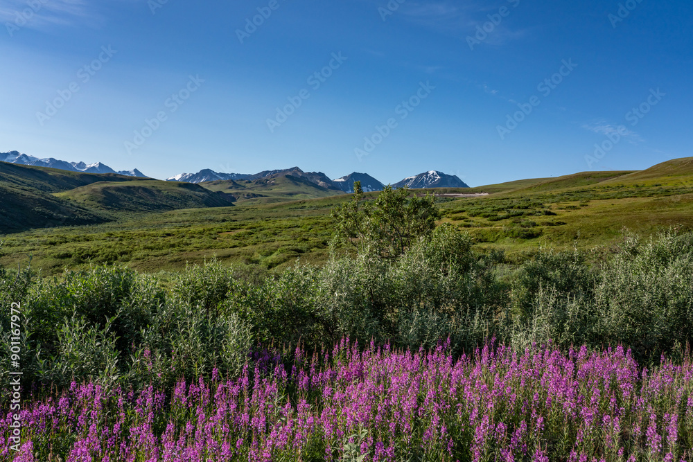 Denali National Park and Preserve, formerly known as Mount McKinley ...