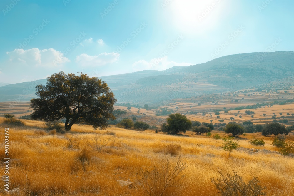 Stunning Israel Zoom Backgrounds Collection. High detailed wallpaper ...