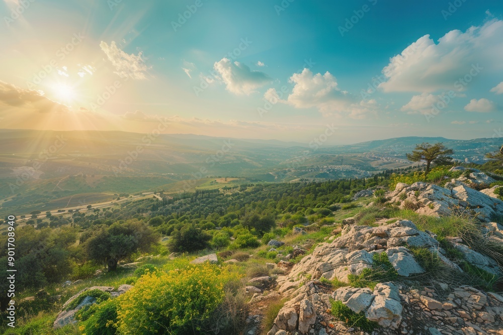 Foto de Stock Beautiful Israel Zoom Backgrounds. High detailed ...