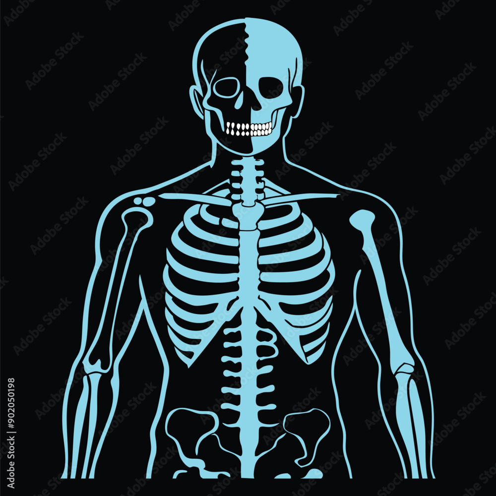 Hauntingly beautiful human skeleton illustration for digital art ...