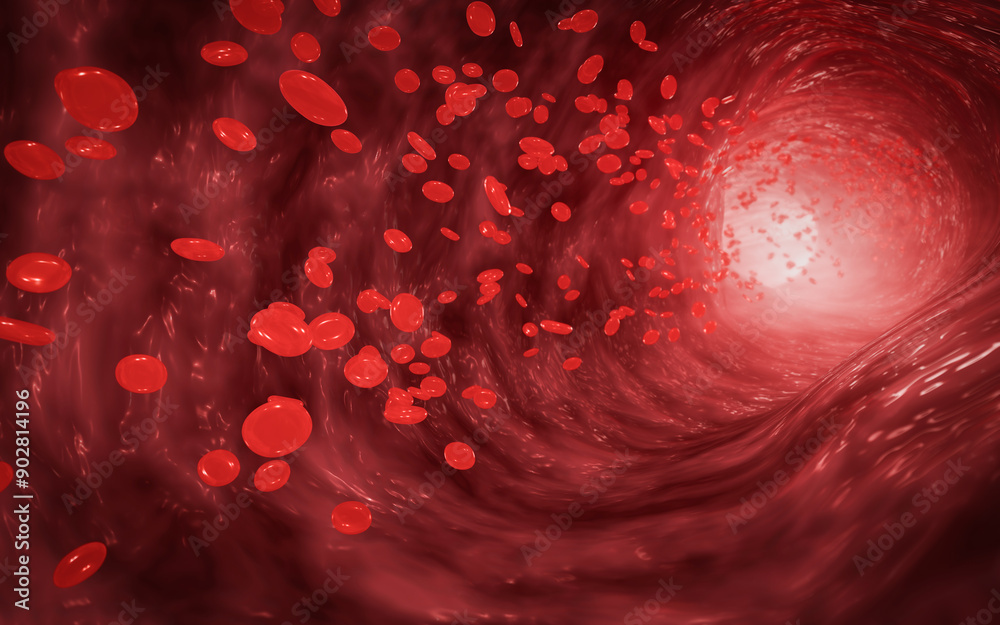 Red blood cells in an artery or blood vessel , flow inside body ...