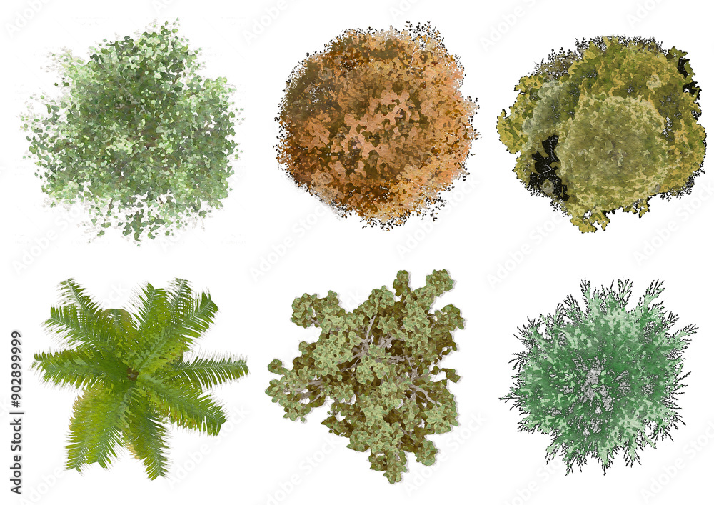 collection of tree plan, Tree Top View with transparent background. set ...