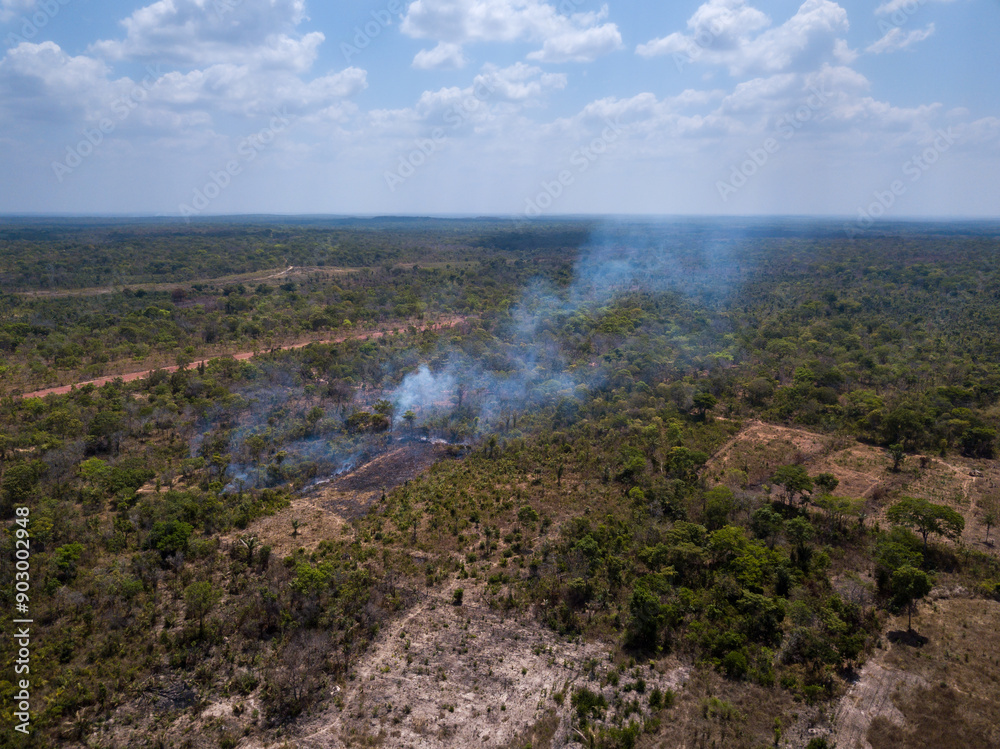Amazon rainforest illegal deforestation fire aerial view to open land ...