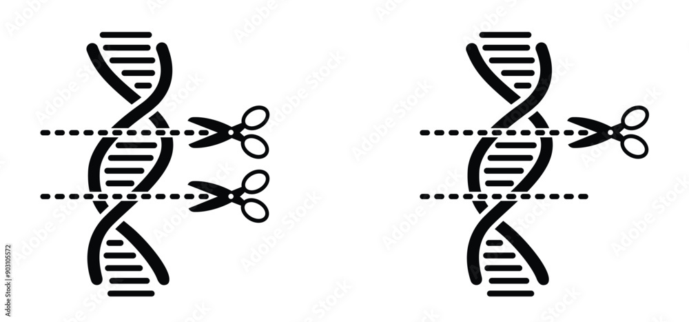 DNA with magnifying glass. DNA string, double helix spiral line. RNA ...