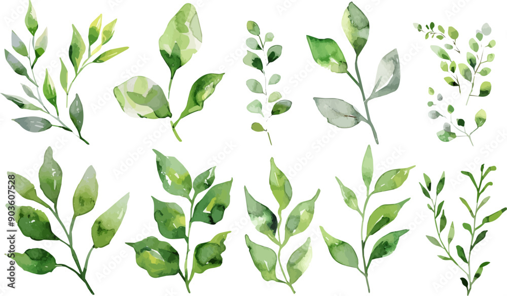 Set of green watercolor leaves on isolated background Stock Vector ...
