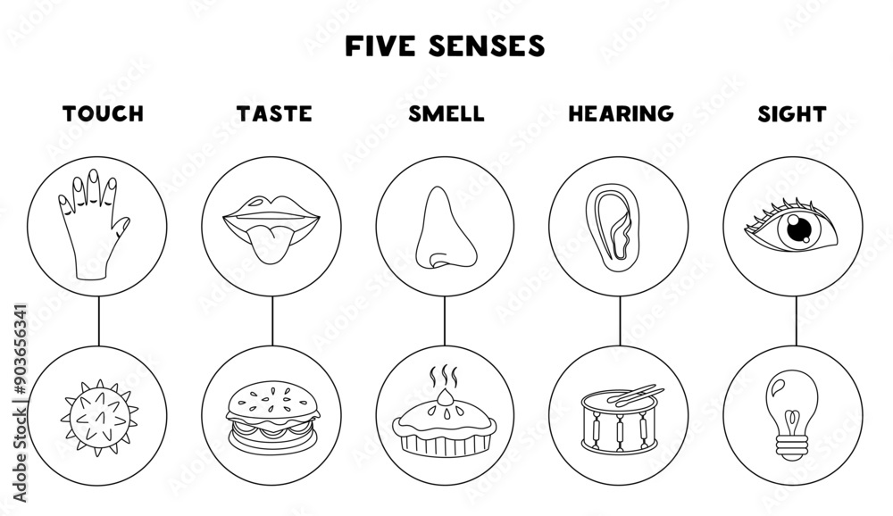 Five senses organs, vector illustration. Sight hearing taste touch ...