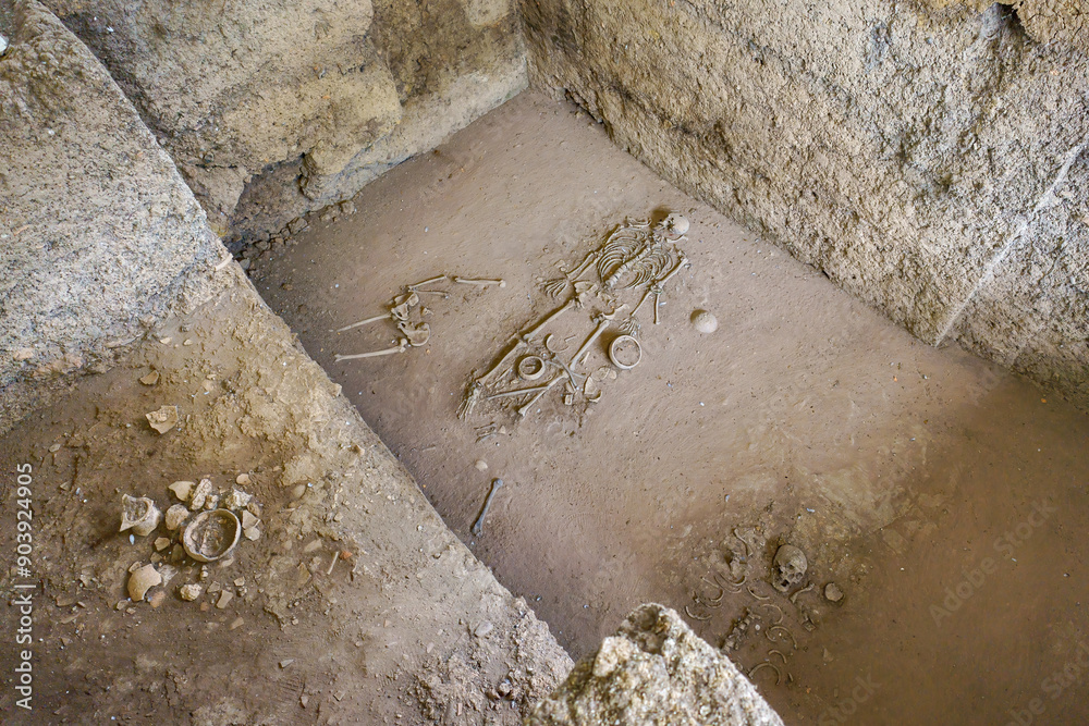Archaeological excavations, human remaining bones, skeleton, skulls in ...