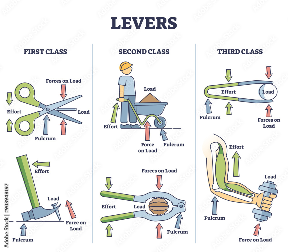 Levers classification as physics forces and effort explanation outline ...