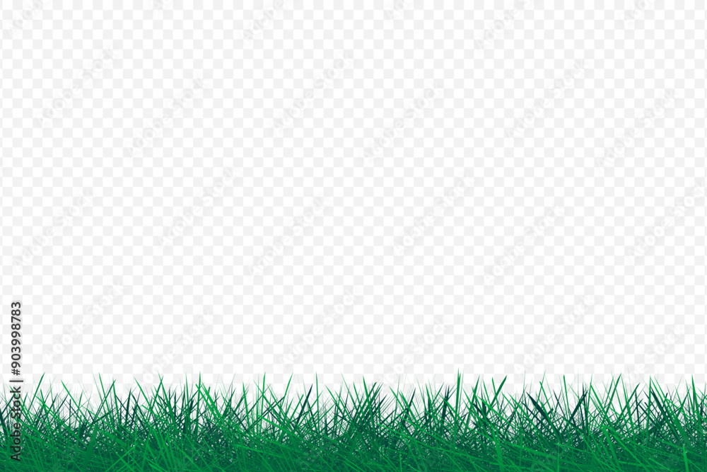 Grass lawn on transparent background. Realistic green grass border or ...