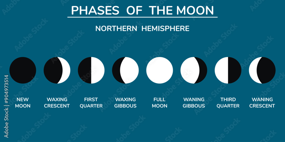 The Phases of the Moon. Northern hemisphere. Background. Education ...