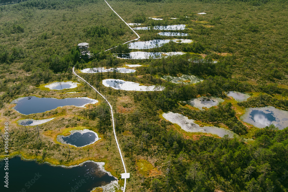 Viru Bog, one of the most famous bogs located in Lahemaa National Park ...