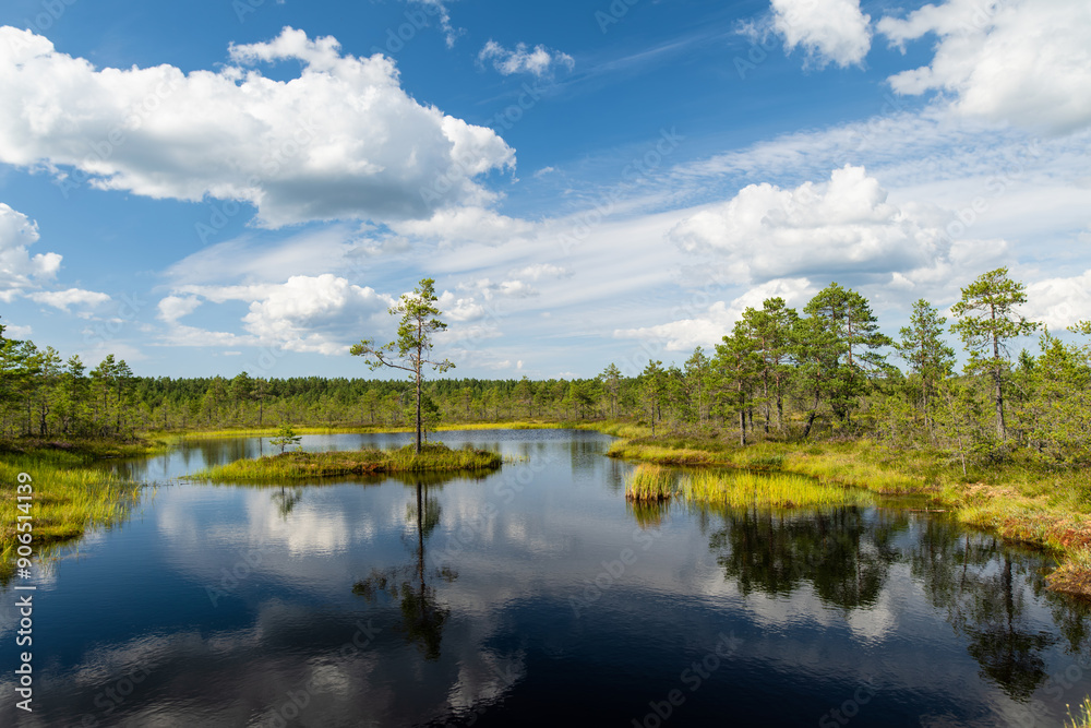 Viru Bog, one of the most famous bogs located in Lahemaa National Park ...