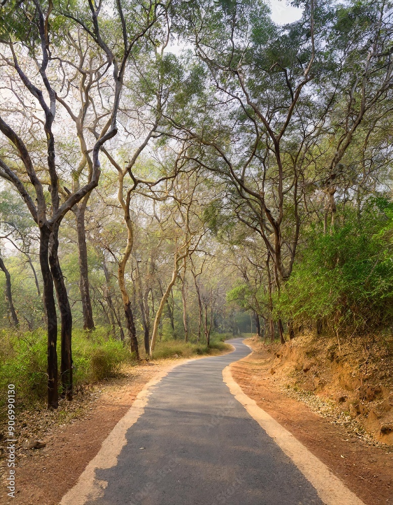 Unexplored path / Road less taken at Nagarhole national park, Karnataka ...