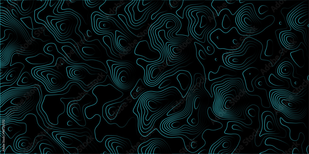 Topographic Map in Contour Line Light Topographic blue-black color ...