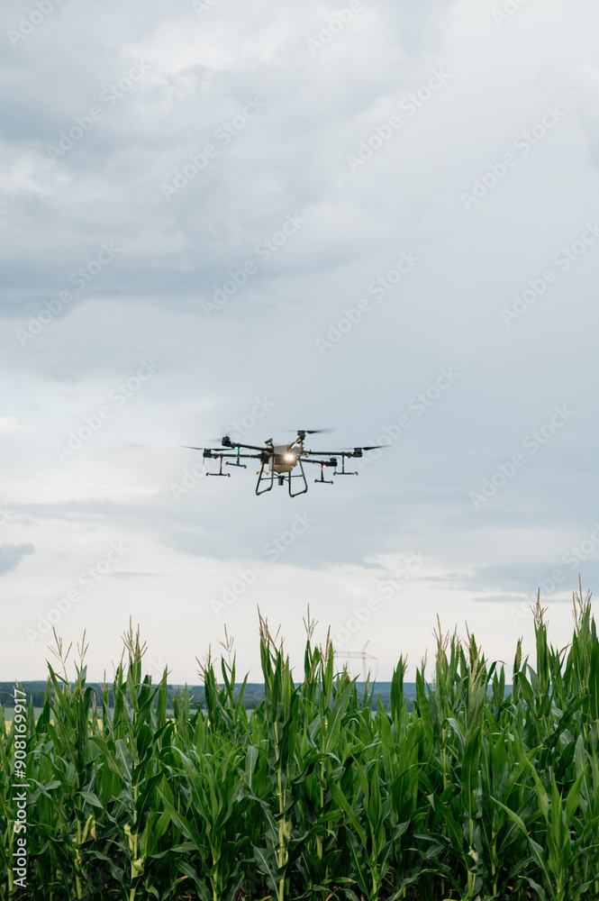 Agrodrone sprayer sprays sunflower fields, precision farming, the ...