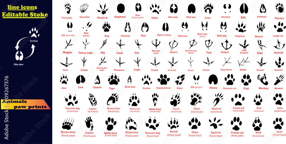 Animals paw prints. Cartoon mammal footprints, black bird foot. Wild ...