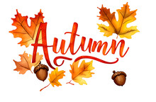 Thanksgiving Fall Autumn Word Art Free Stock Photo - Public Domain Pictures