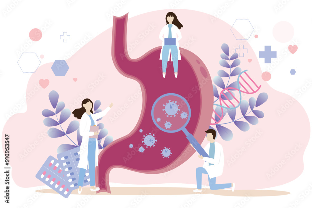 Digestive tract diseases. Helicobacter pylori infection process in ...