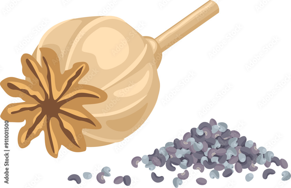 Poppy head and seeds isolated on white background. Culinary seasoning ...