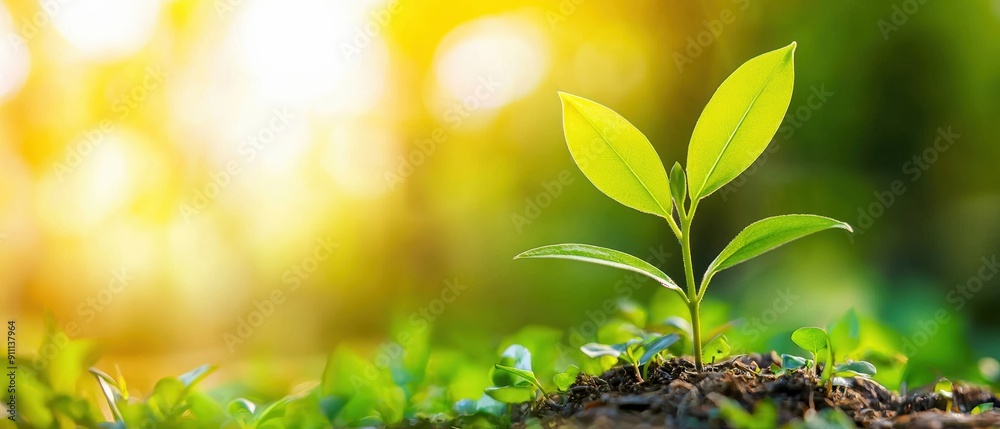 Earth's green energy pathways, sustainability and ESG principles ...