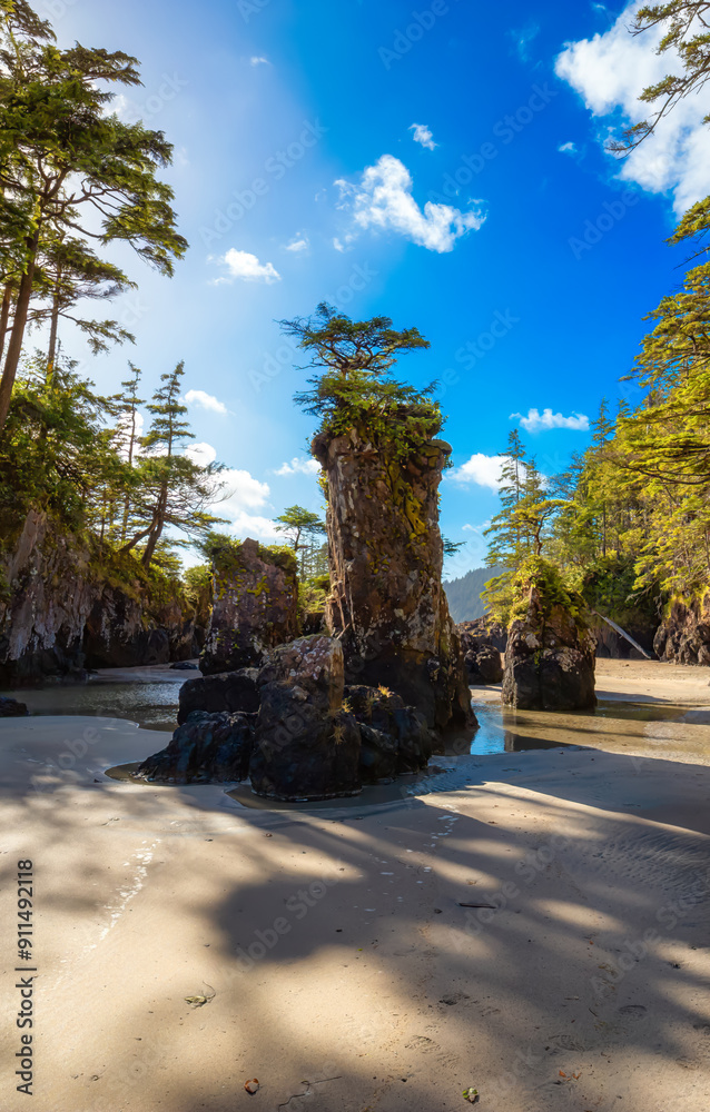 Sandy beach on Pacific Ocean Coast View. Sunny Blue Sky. San Josef Bay ...