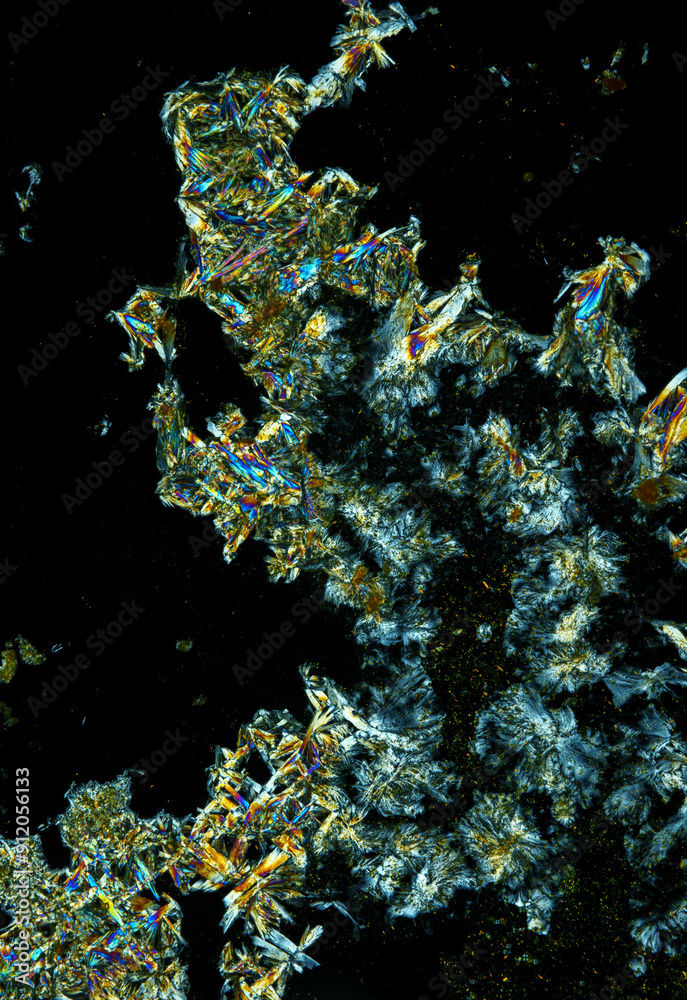 Vitamin B2 crystals under a microscope Stock Photo | Adobe Stock