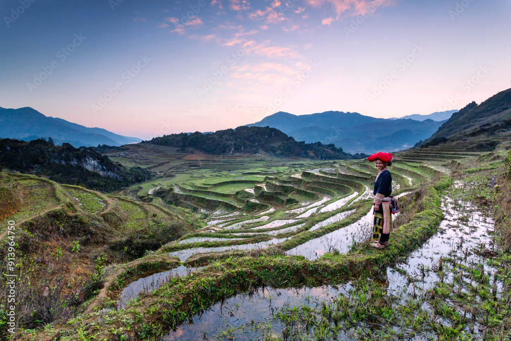 Woman wearing traditional clothes from Red Dao tribe at the rice field ...