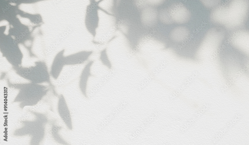 Leaf shadow and light on wall background. Nature tropical leaves tree ...