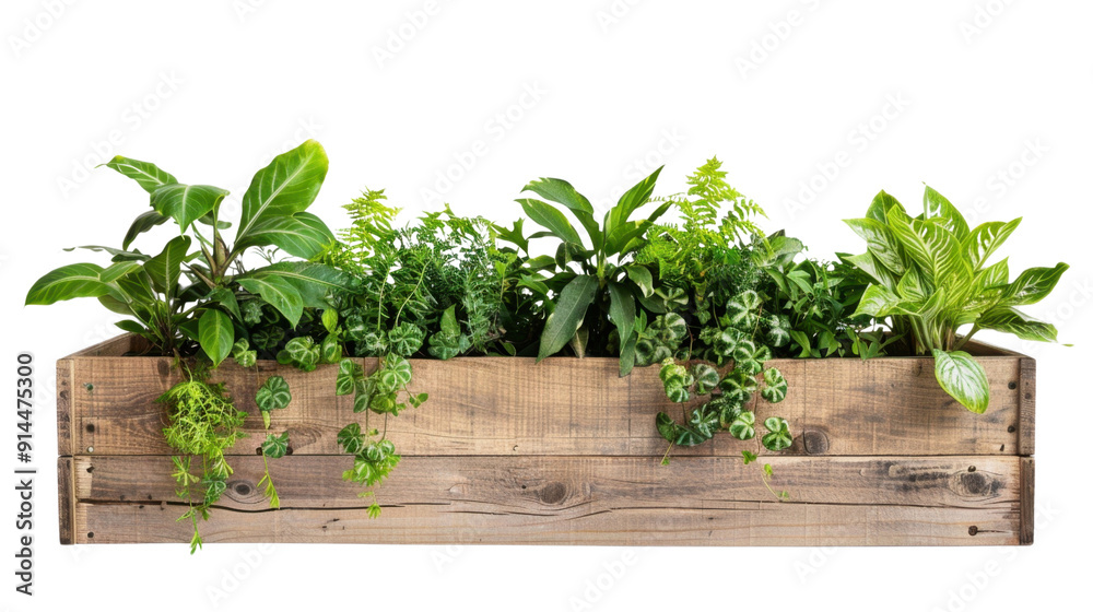 Wooden planter box with plants on transparent background Stock Photo ...