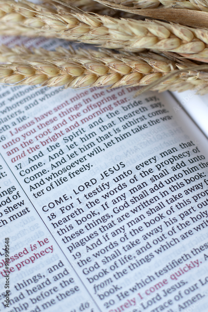 Come, LORD Jesus, biblical verses in open holy bible with wheat. Close ...