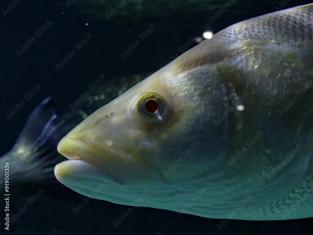 La Rochelle, August 2024: Visit to one of Europe's largest aquariums ...