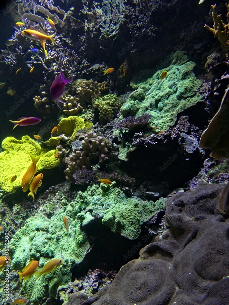 La Rochelle, August 2024: Visit to one of Europe's largest aquariums ...