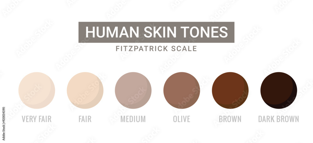 Skin tone color scale chart. Brown palette vector human skin ...