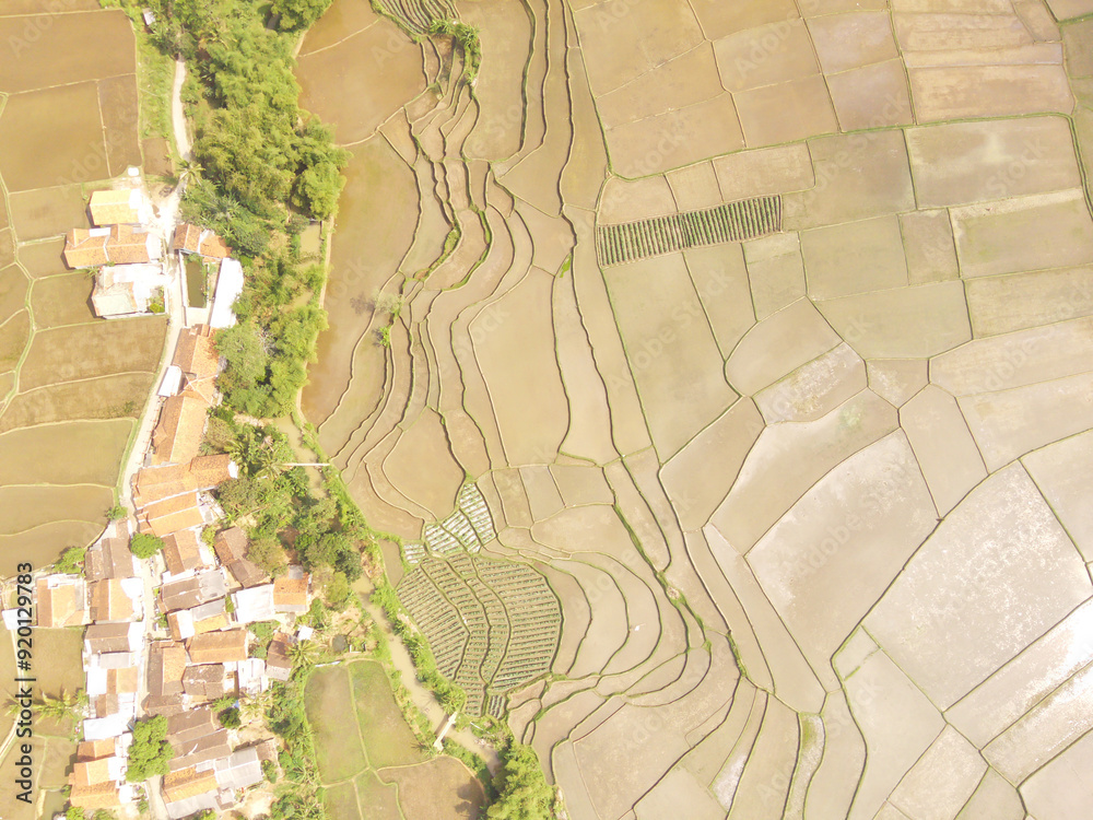 Empty Rice Field Patch after harvest - Indonesia. Agricultural Industry ...