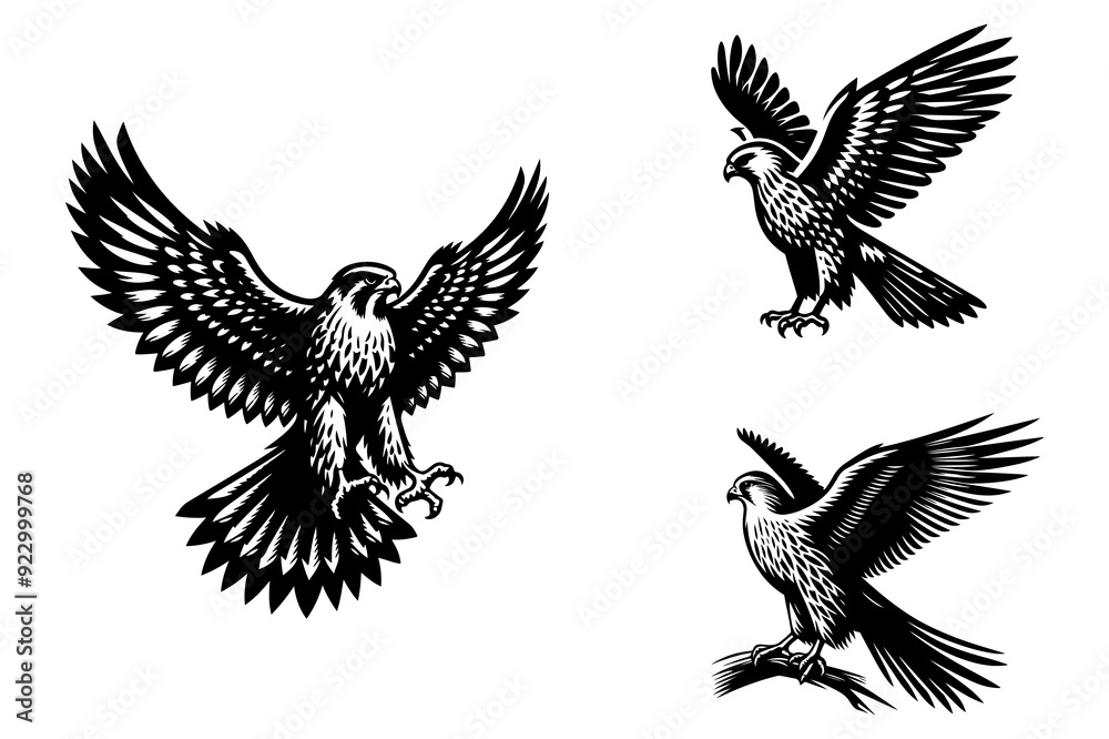 falcon silhouette vector illustration isolated on transparent ...