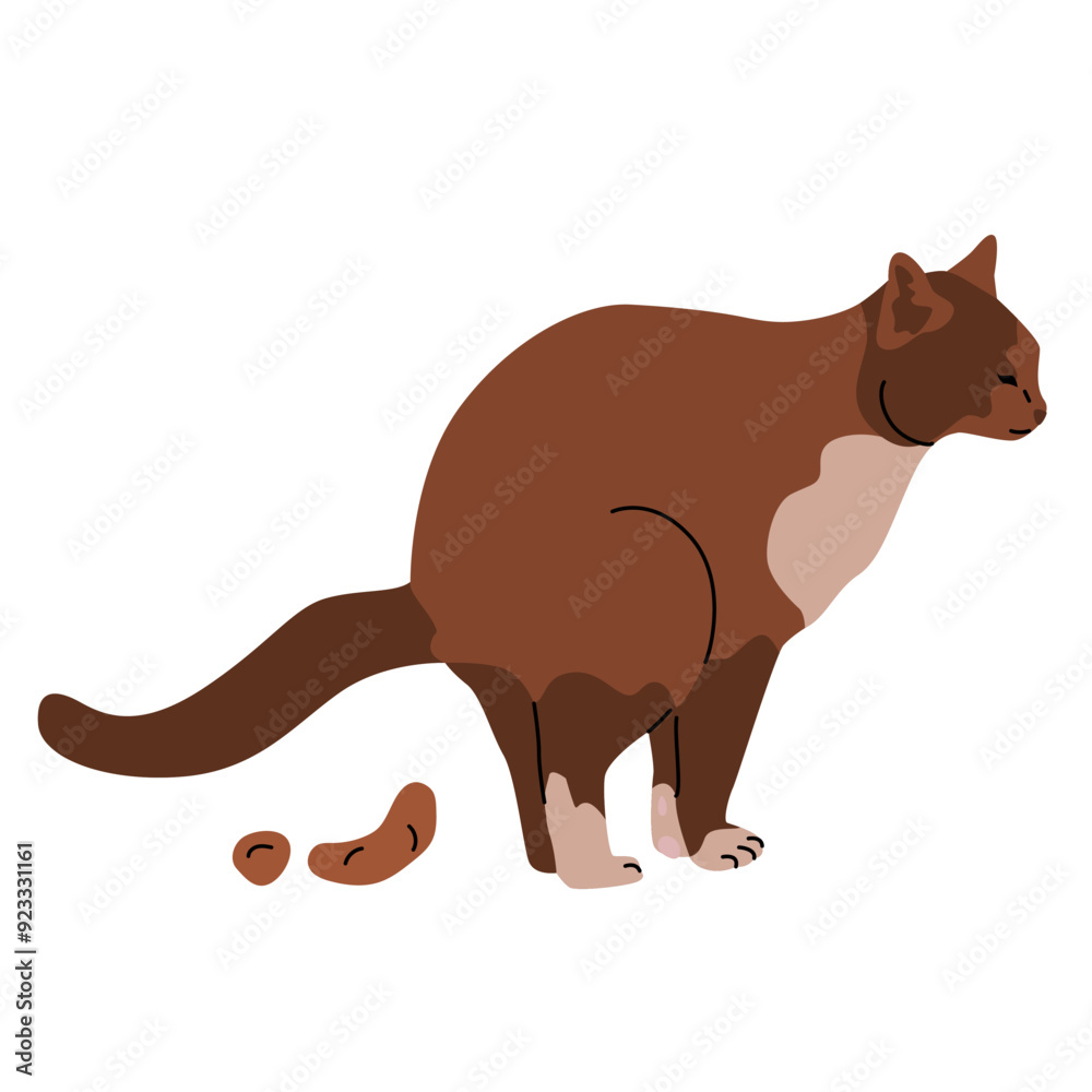Pooping cat. Maintenance and care of pets. Responsibility for the pet ...