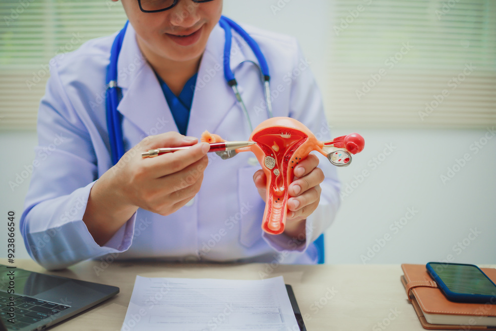 Urologists measure the size of the female genitalia using the Female ...