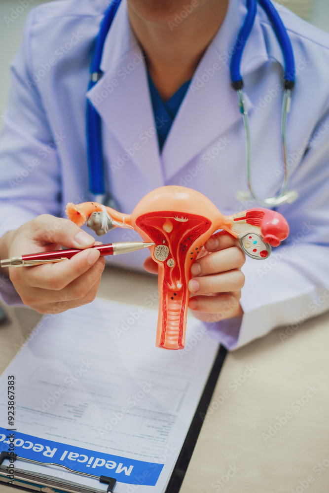 Urologists measure the size of the female genitalia using the Female ...