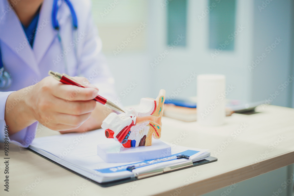 Doctor with human ear anatomy model, ear disease, otitis media ...