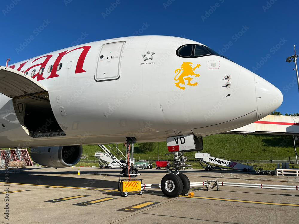 Ethiopian Airlines Airbus A350-900 XWB Aircraft Nose and Cockpit ...