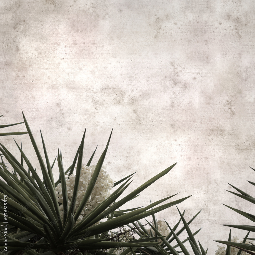 textured stylish old paper background, square, with flowering Yucca ...