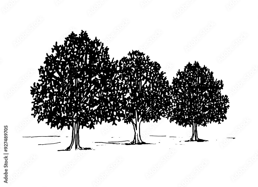 hand draw sketch of tree plant planter pen drawing for interior design ...