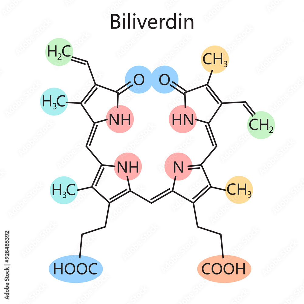 Chemical molecular structure of hemoglobin, highlighting its chemical ...