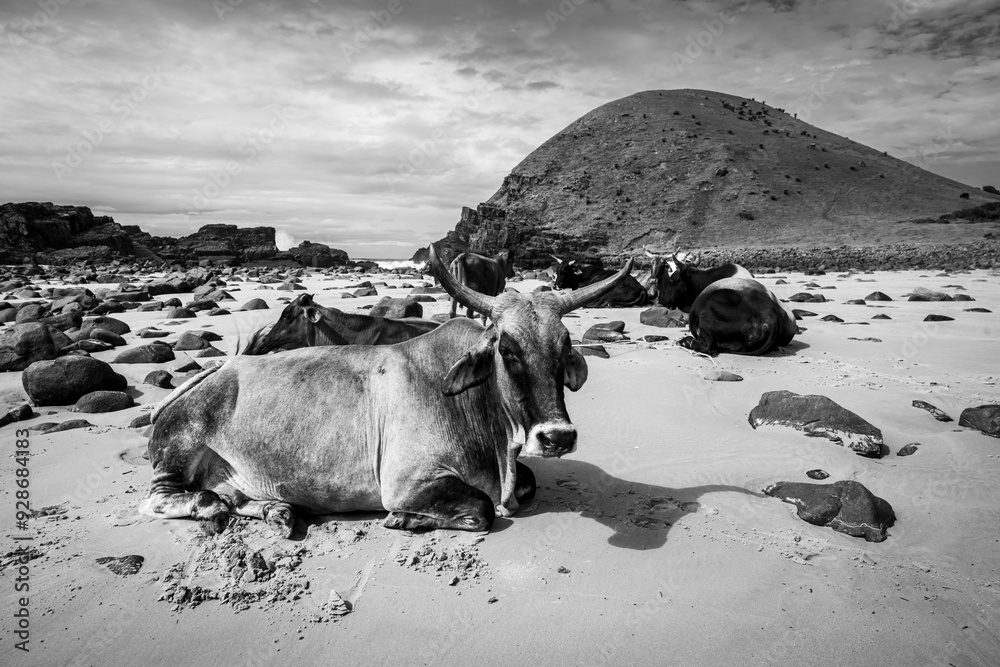Transkei in the Eastern Cape of South Africa, you see Xhosa beach ...
