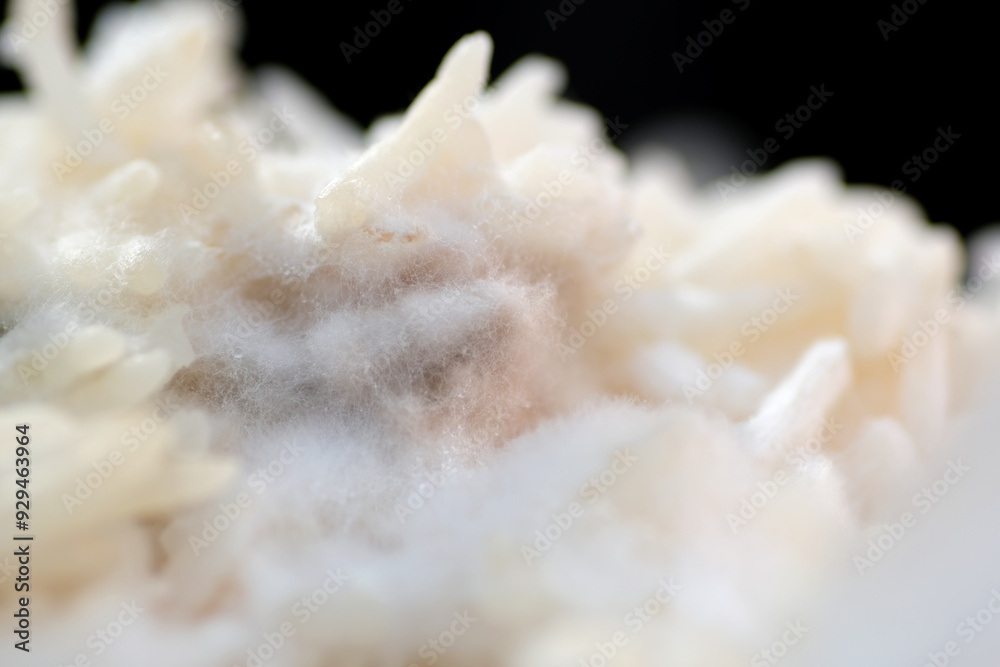 Moisture often leads to mold and other forms of bacterial growth on ...